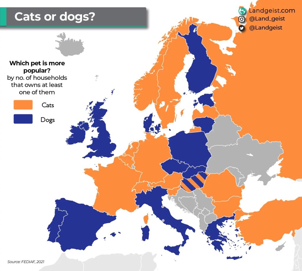 European pet ownership: Cats are the most popular - Water Park Guide